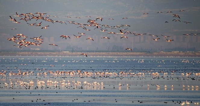 Adana’nın Gizli Cennetleri: İşte Koruma Altındaki 8 Doğa Harikası - Son ...